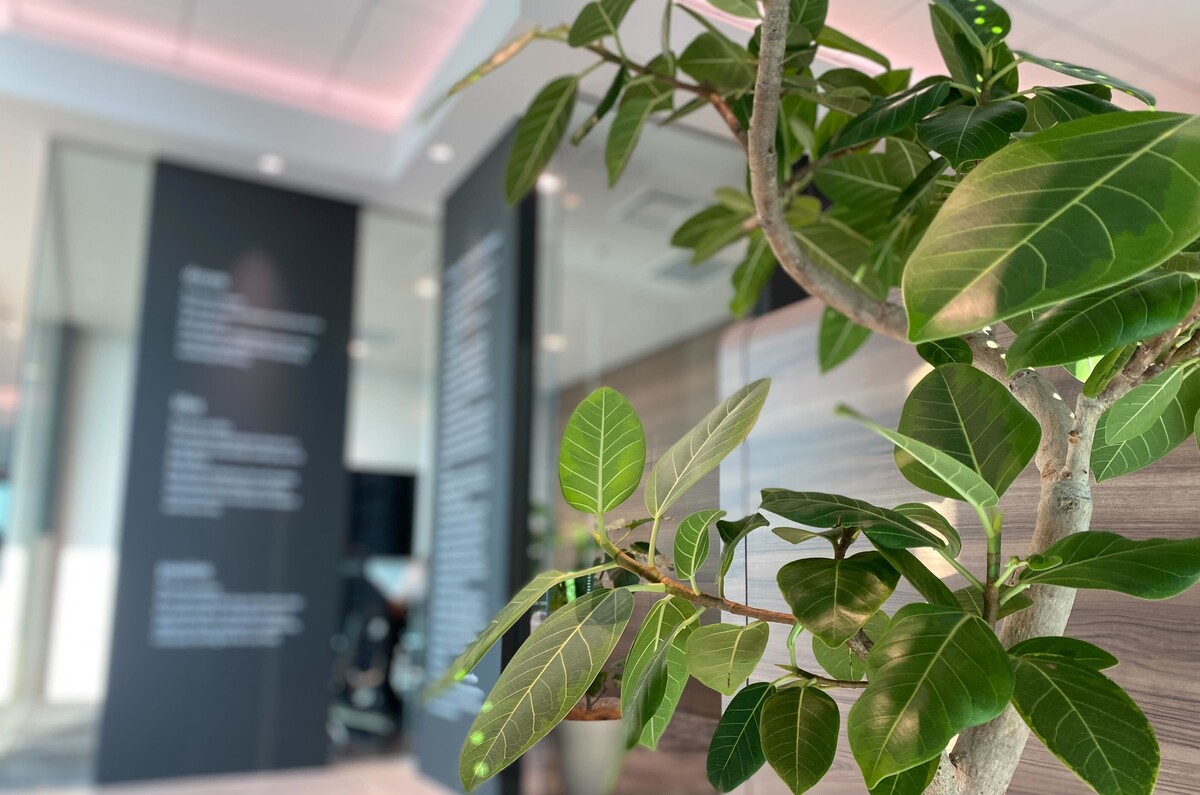 Collaboration with NPOs | dip Corporation